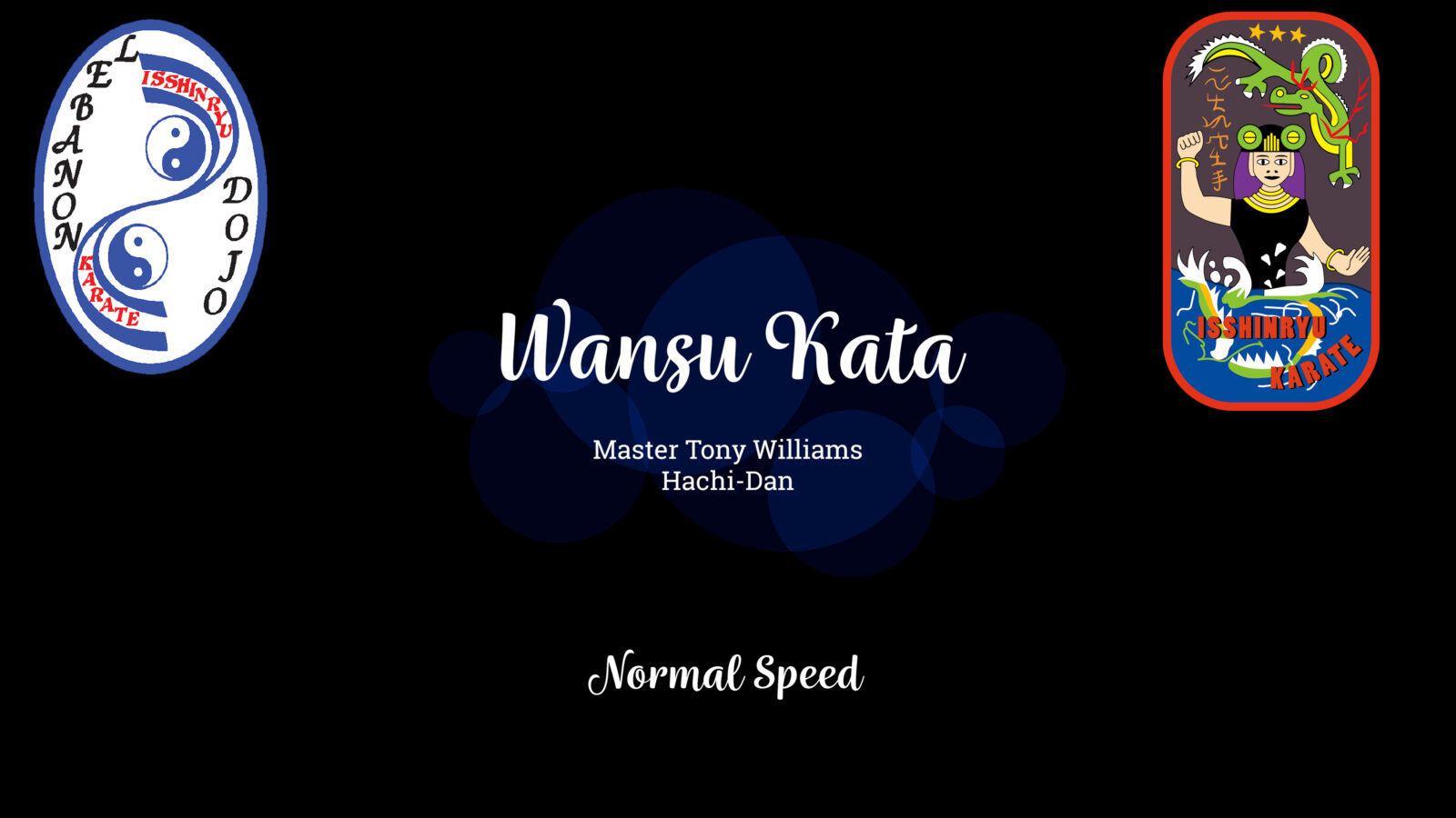 TLD Training Videos – The Lebanon Dojo